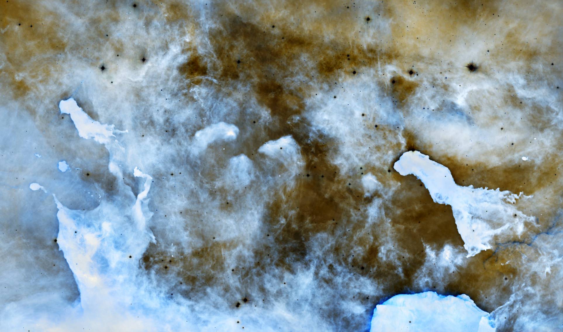 Negative Space - Capture Photography Festival