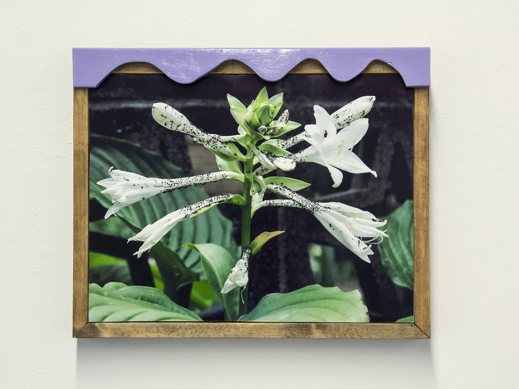 Graeme Wahn - Capture Photography Festival