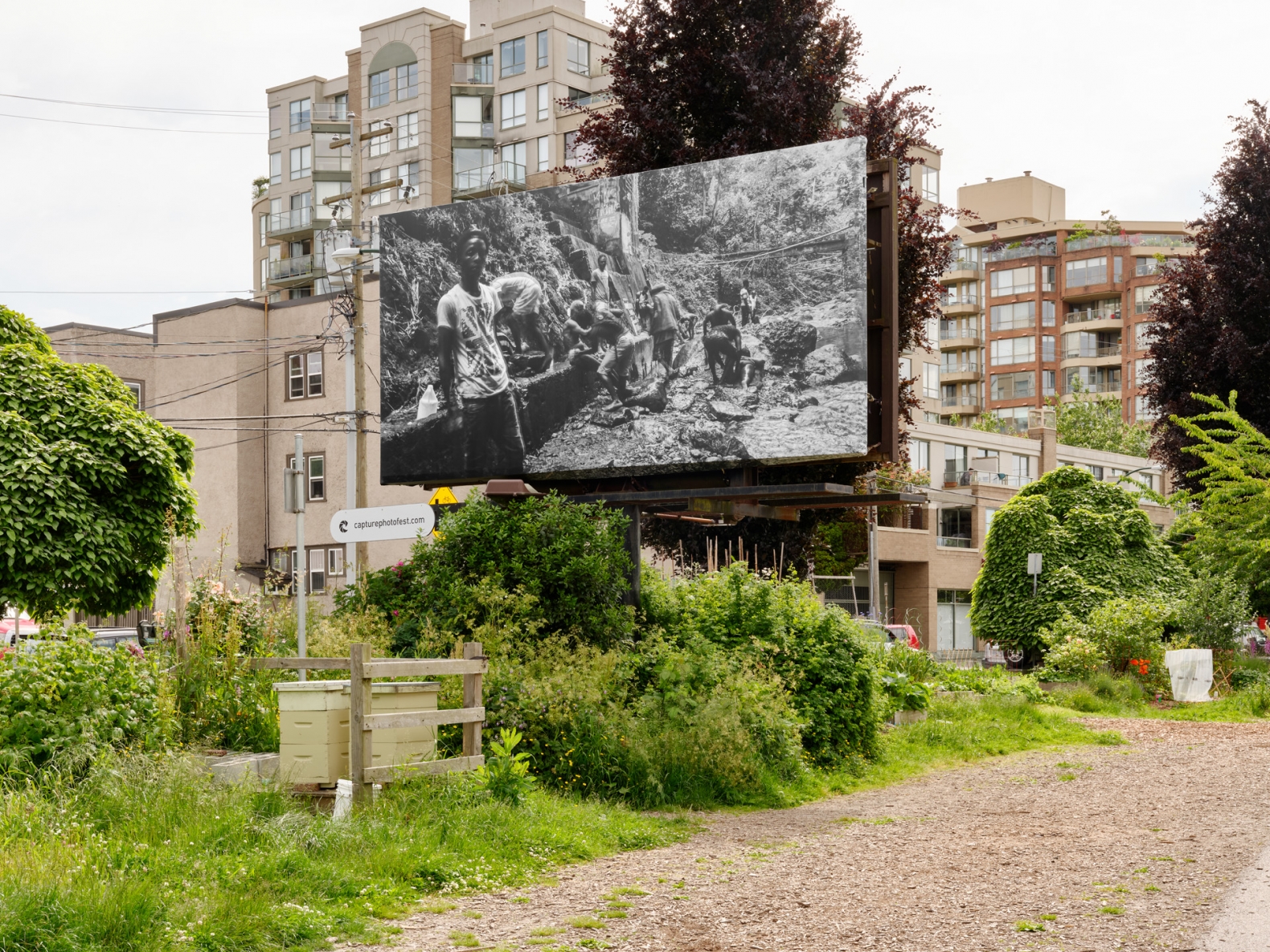 Absence/Presence - Capture Photography Festival