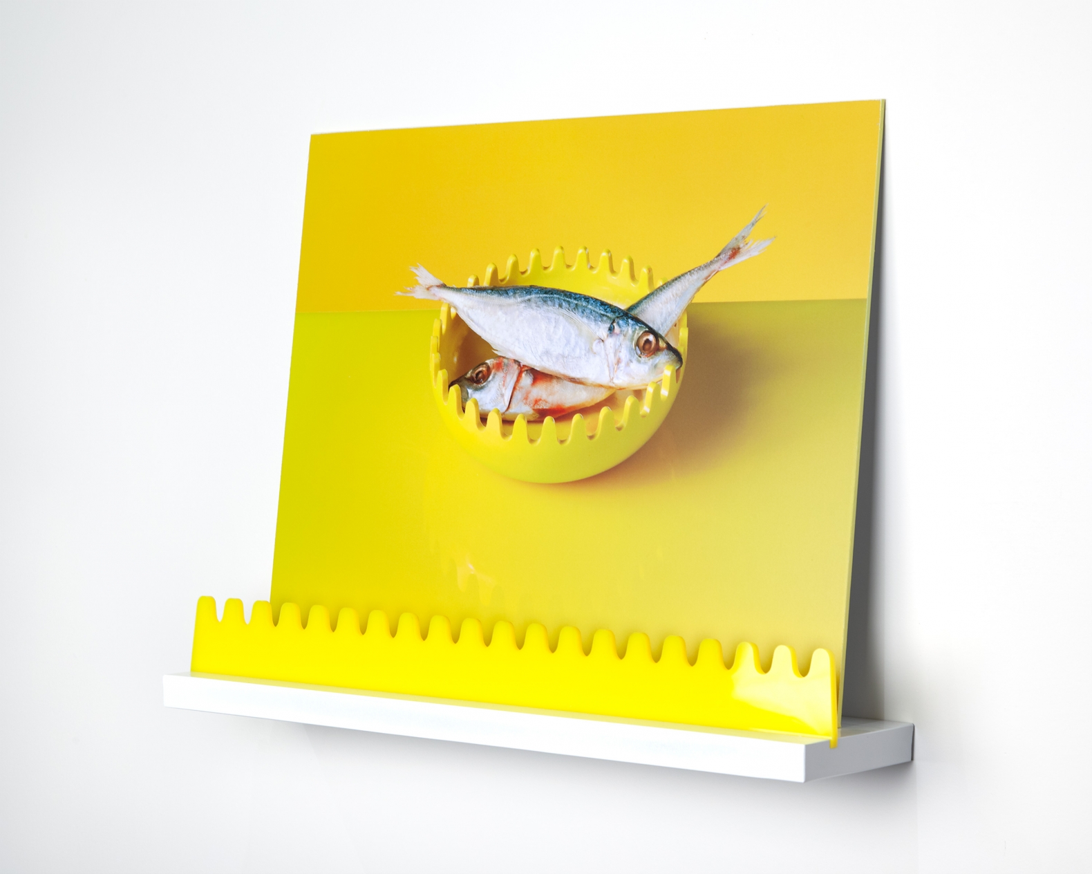 Artificial Shrimp and Other Simulacra - Capture Photography Festival