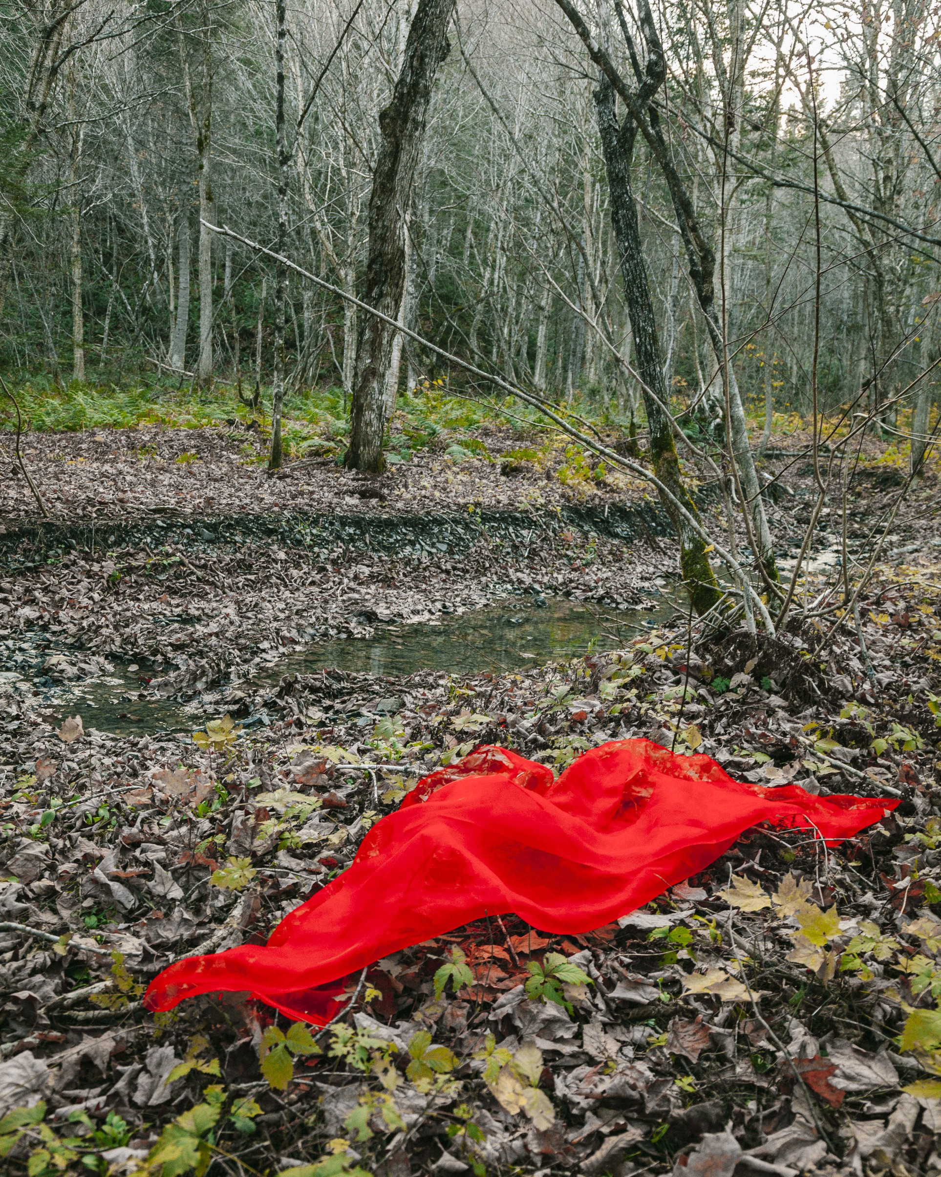 Sovereignty - Capture Photography Festival