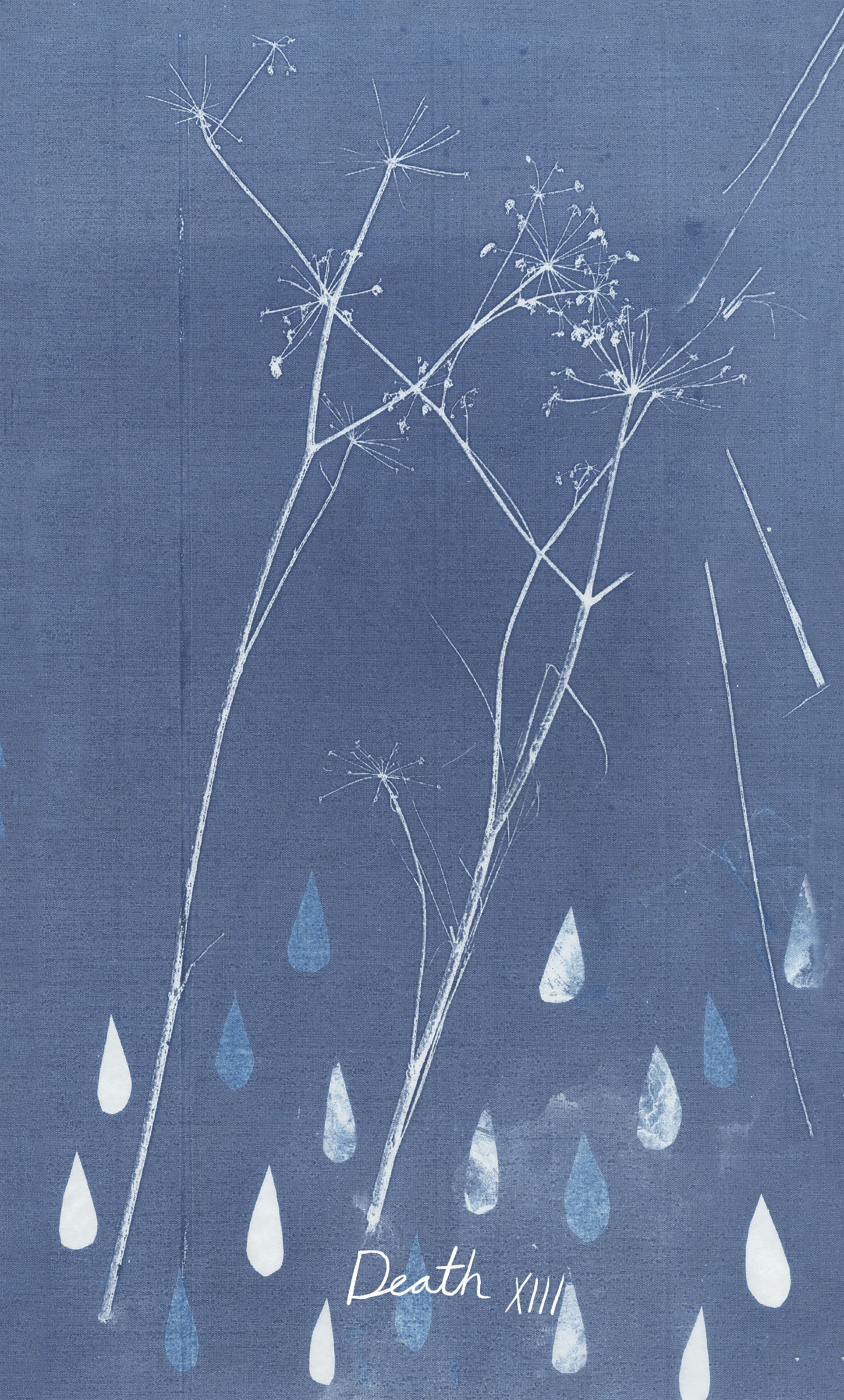 Blue Earth Tarot - Capture Photography Festival