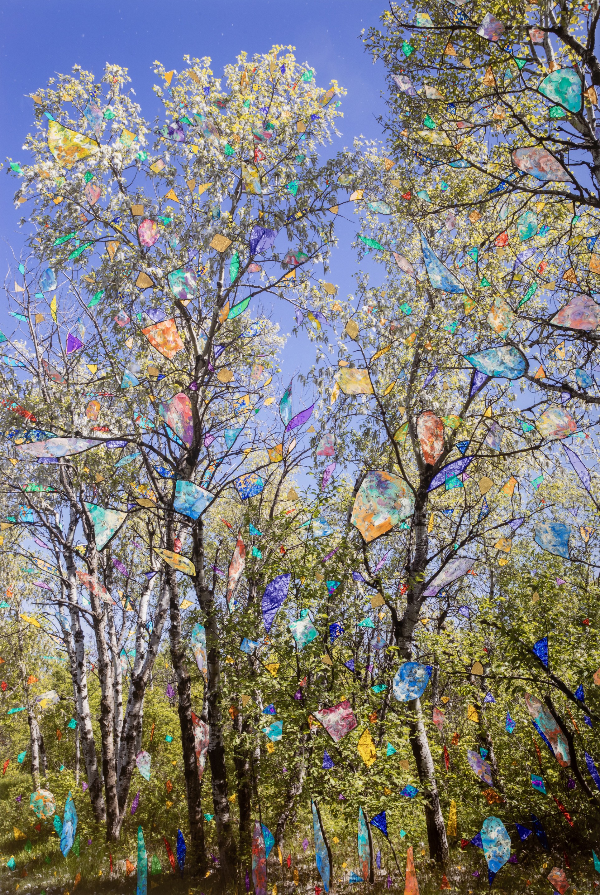 Lafarge Lake–Douglas SkyTrain Station - Capture Photography Festival