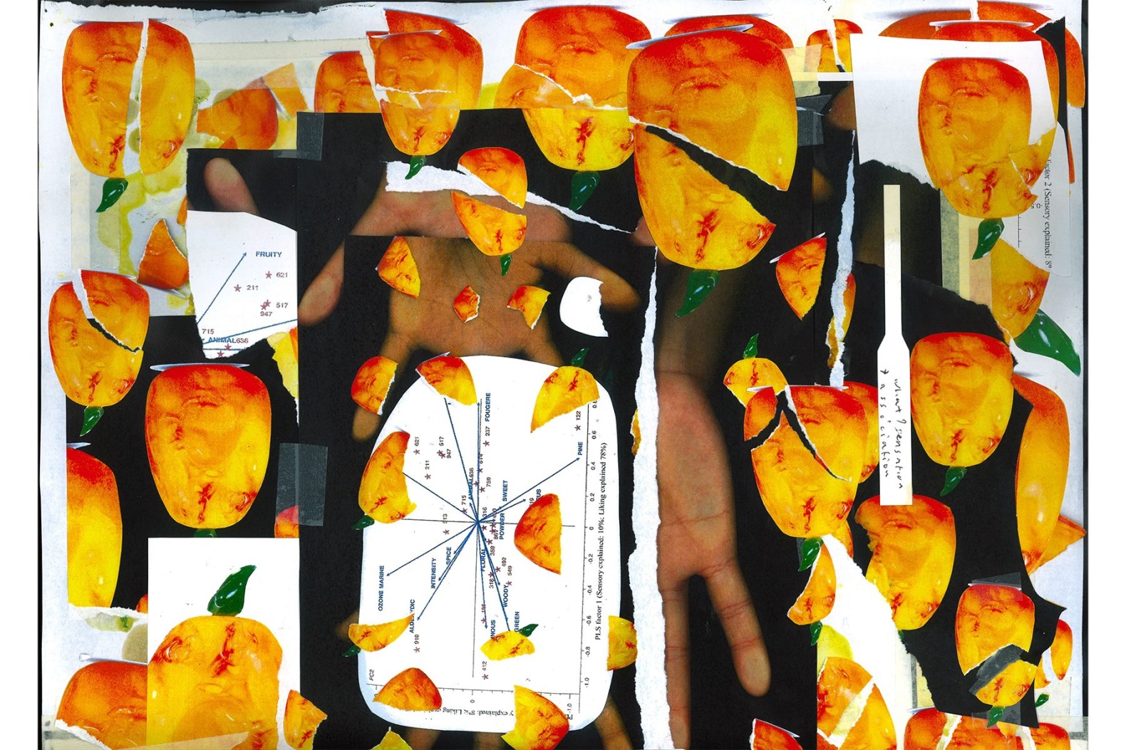 On Time - Capture Photography Festival